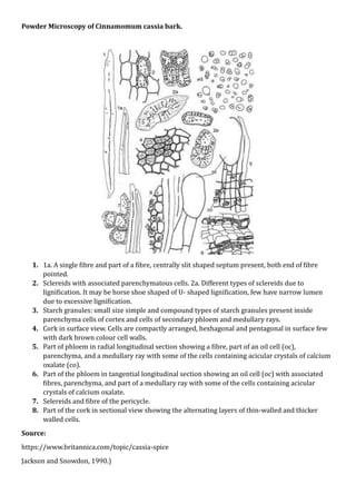 CINNAMON BARK microscopy.docx