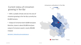 cinnamon for Biomass.pdf