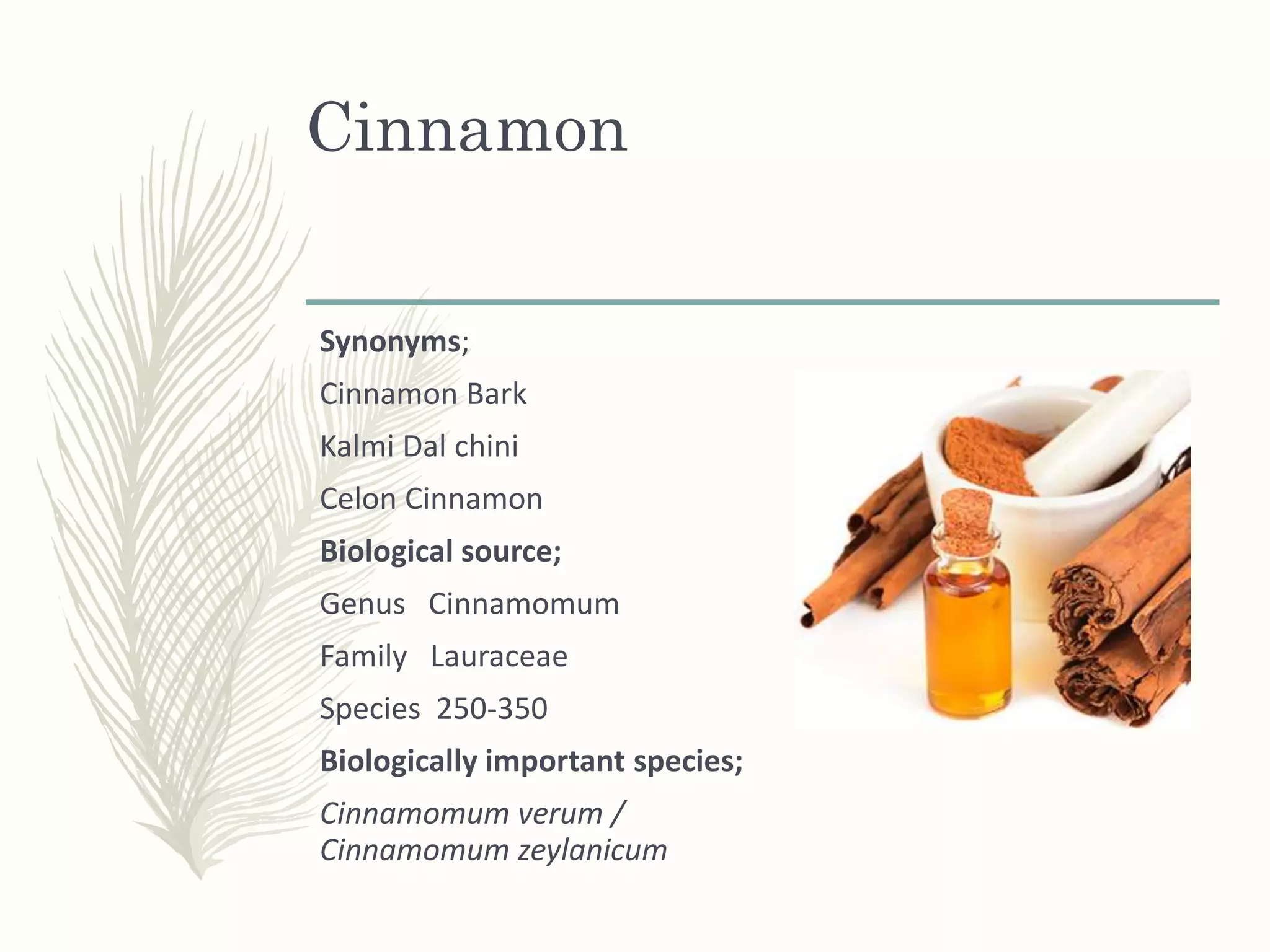 Cinnamon oil Chemistry | PPTX