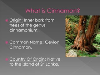 Medicinal uses of Cinnamon. | PPTX