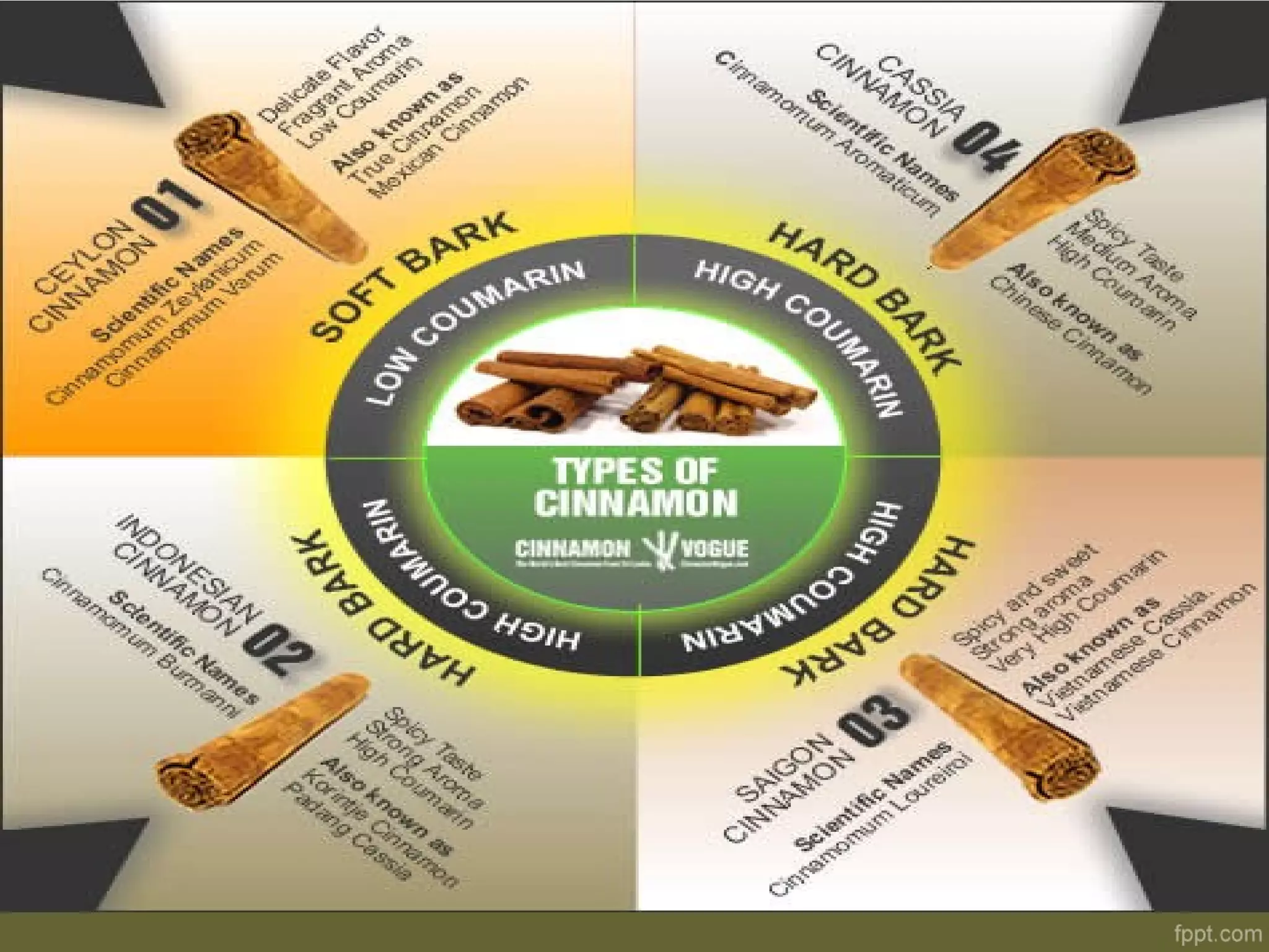 Cinnamon processing-"BARK OF AN EVERGREEN TREE" | PPT