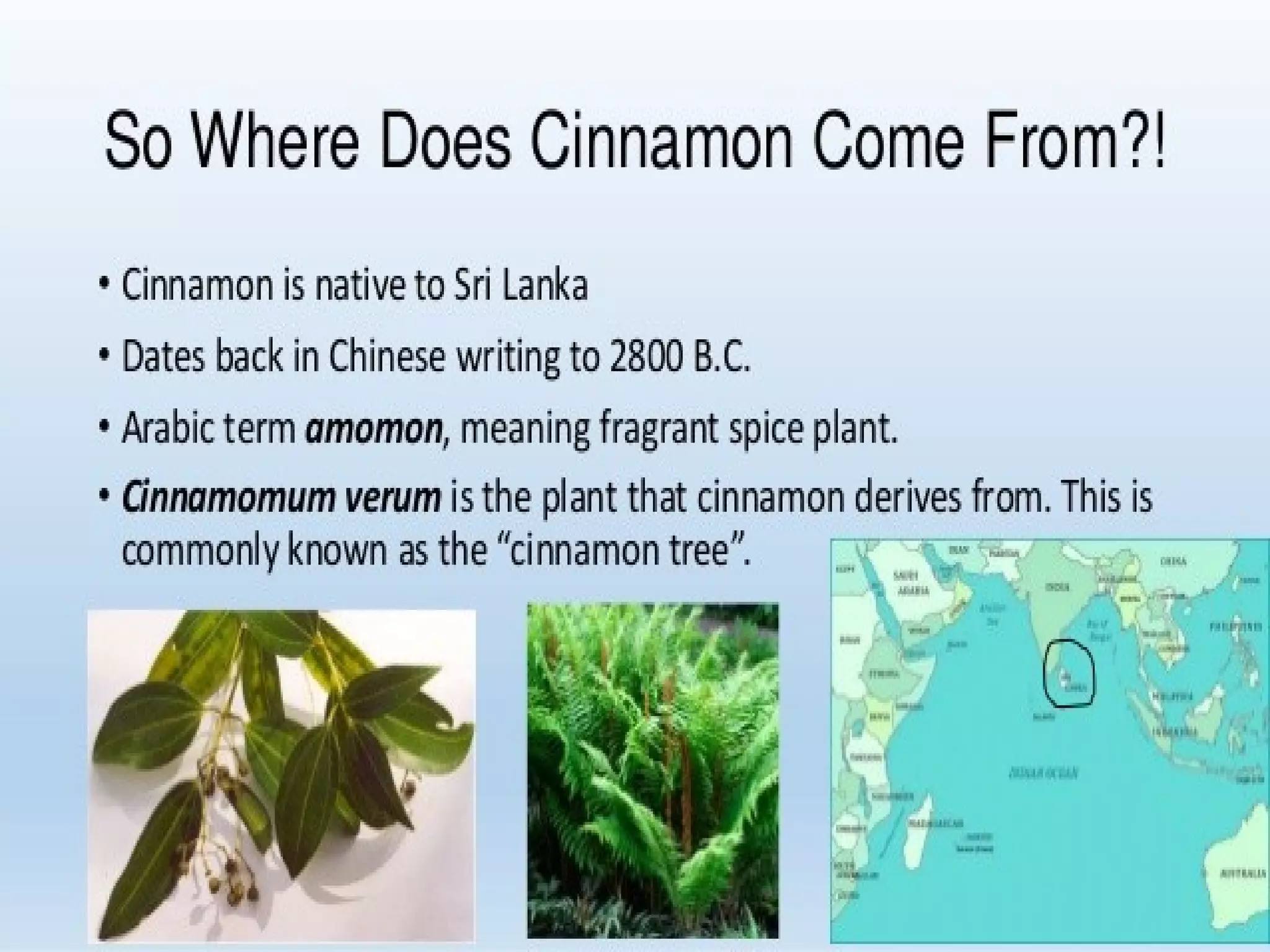 Cinnamon processing-"BARK OF AN EVERGREEN TREE" | PPT