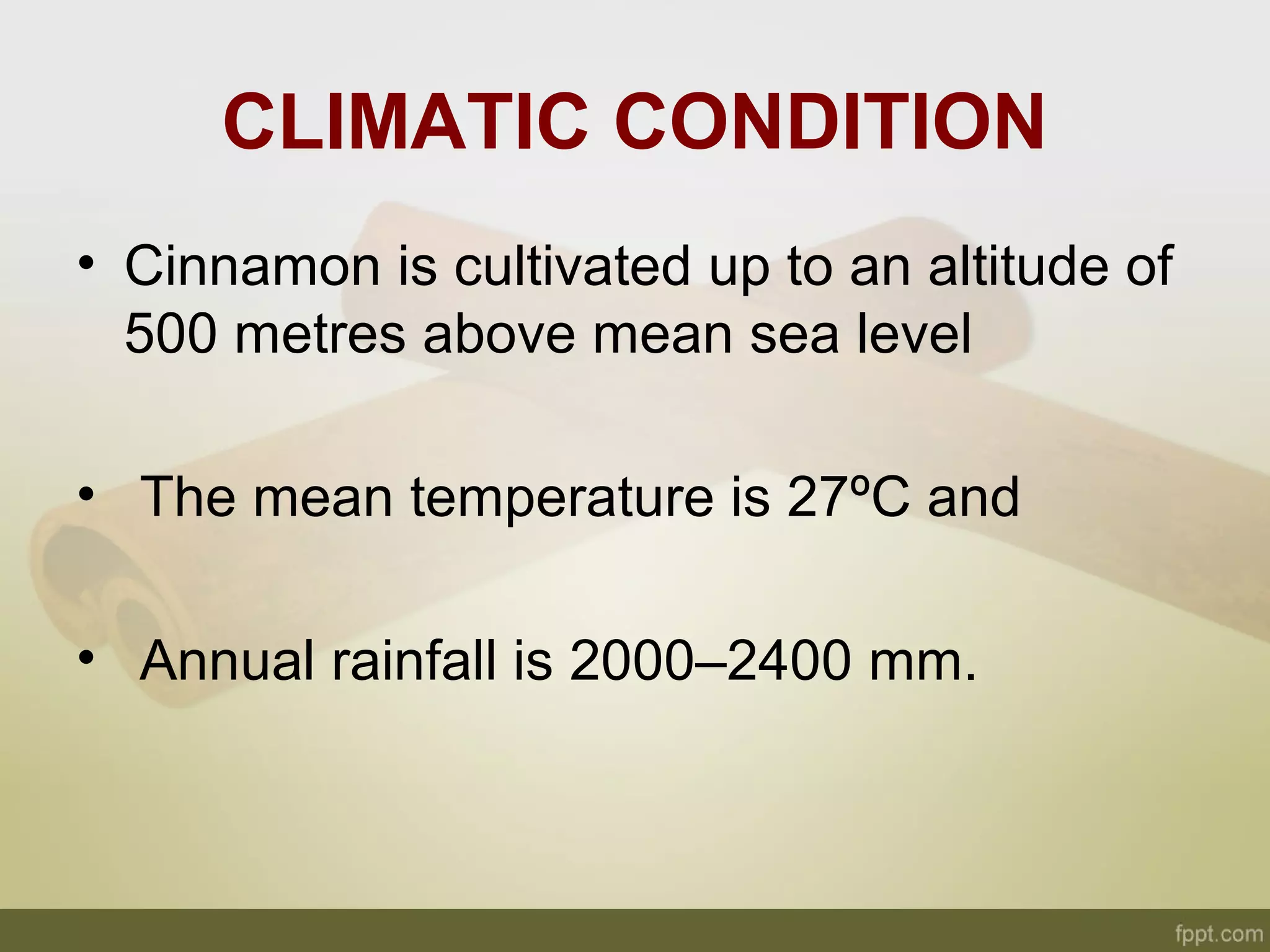 Cinnamon processing-"BARK OF AN EVERGREEN TREE" | PPT