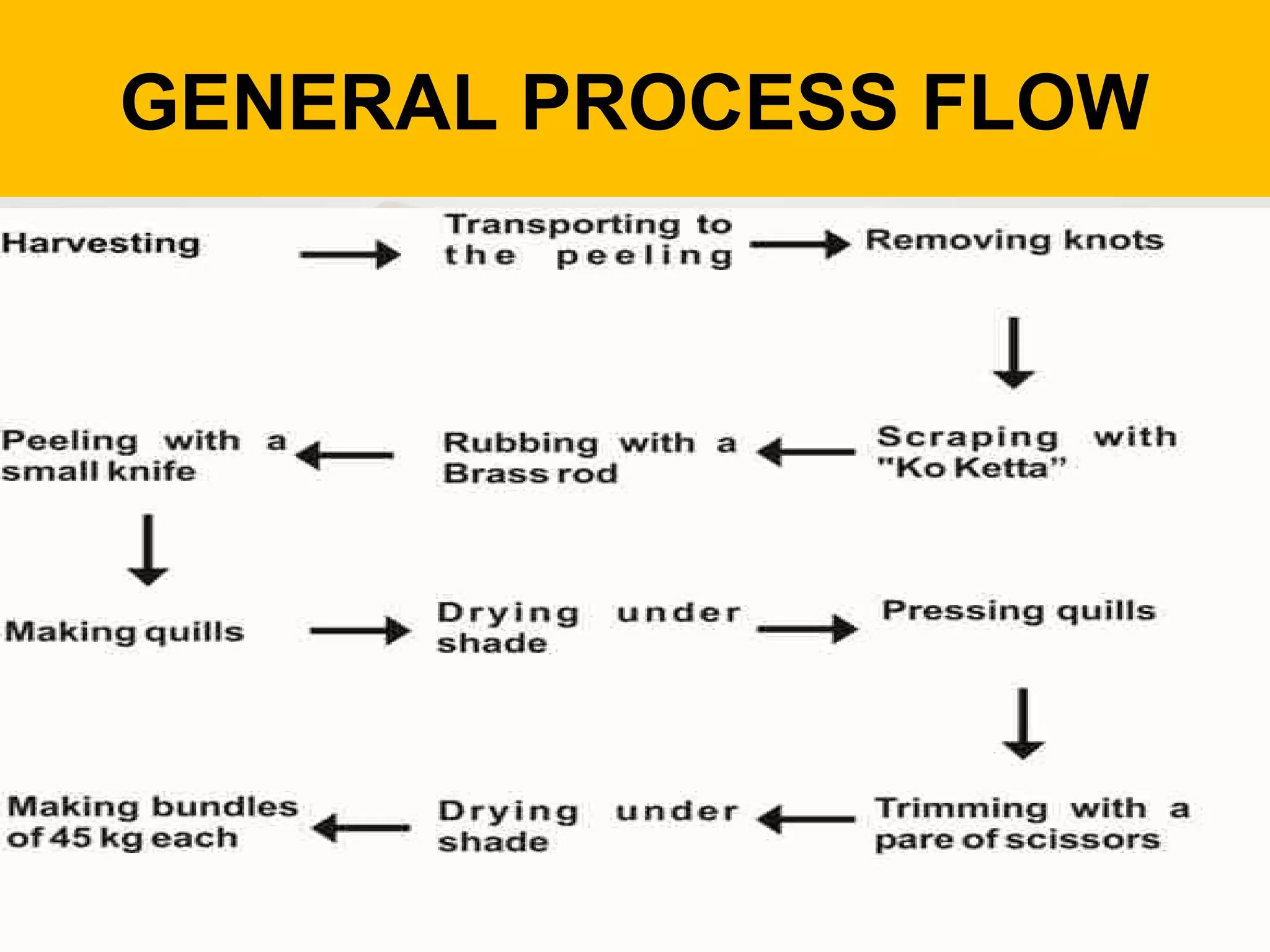 Cinnamon processing-"BARK OF AN EVERGREEN TREE" | PPT