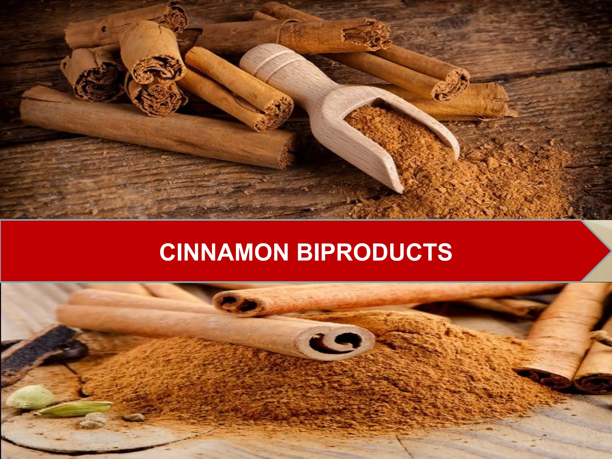 Cinnamon processing-"BARK OF AN EVERGREEN TREE" | PPT