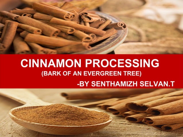Cinnamon processing-"BARK OF AN EVERGREEN TREE" | PPT