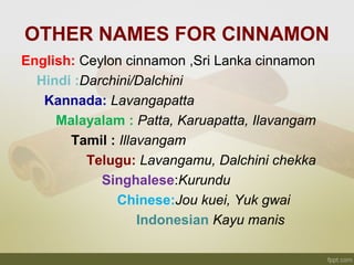 Cinnamon processing-"BARK OF AN EVERGREEN TREE" | PPT