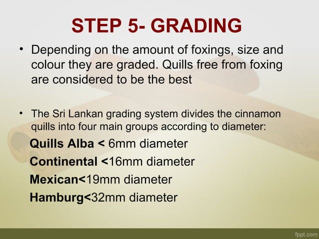 Cinnamon processing-"BARK OF AN EVERGREEN TREE" | PPT