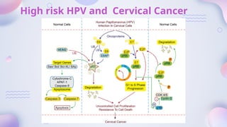 HPV, CIN, PAP SMEAR - description process guidelines etc | PPTX
