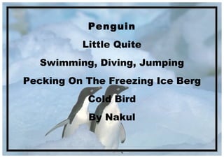 Cinquain Poems About Animals