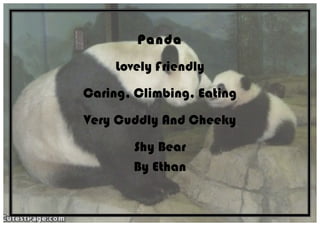 Cinquain Poems About Animals