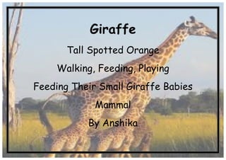 Cinquain Poems About Nature