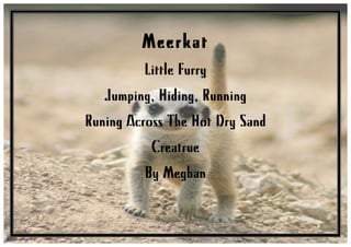 Cinquain Poems About Animals