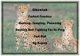 Cinquain Poems About Animals