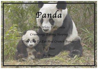 Cinquain Poems About Animals