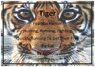 Cinquain Poems About Animals