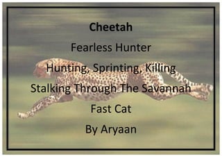 Cinquain Poems About Animals