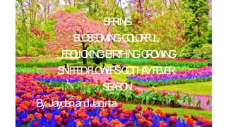 Cinquain poems | PPT