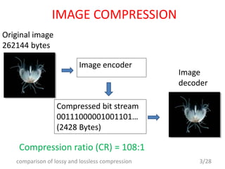 comparision of lossy and lossless image compression using various ...