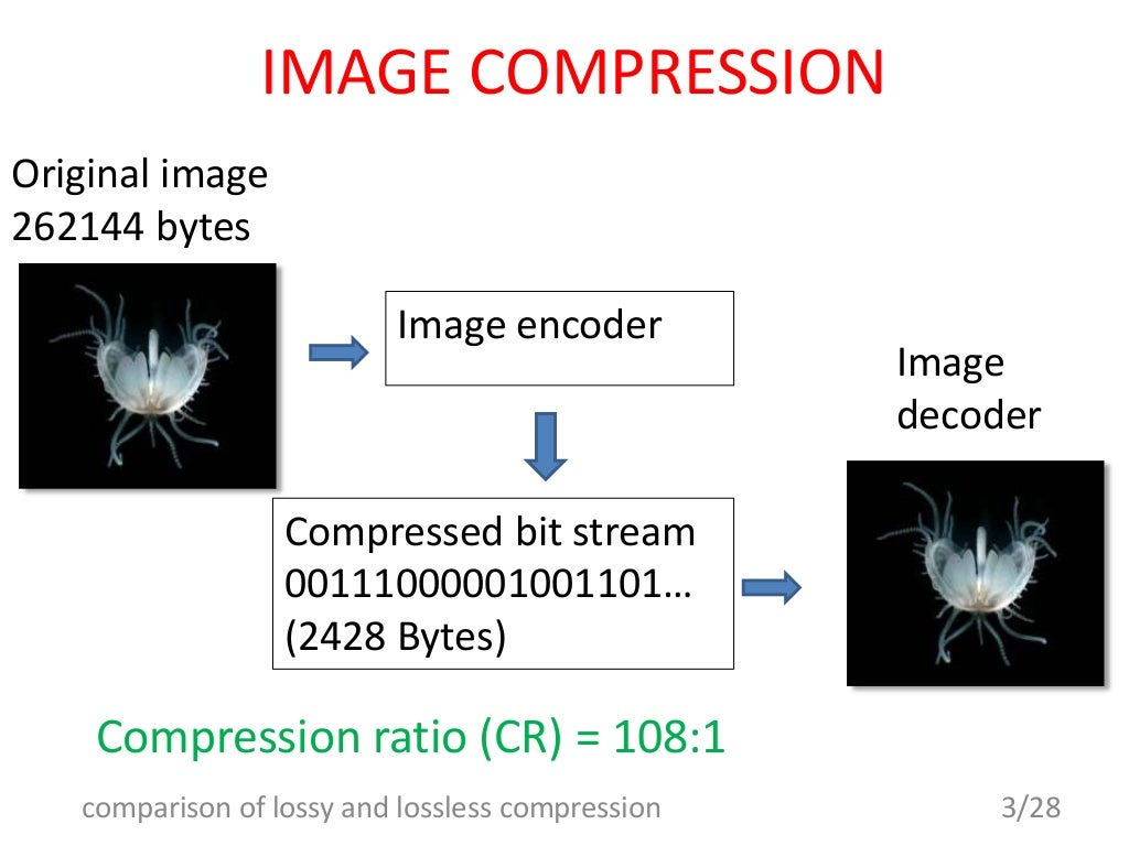 Comparision Of Lossy And Lossless Image Compression Using Various Alg…
