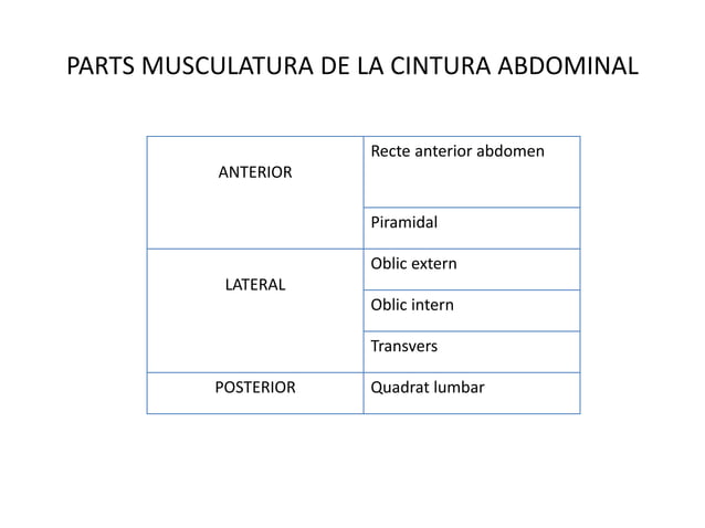 Cintura abdominal | PPTX