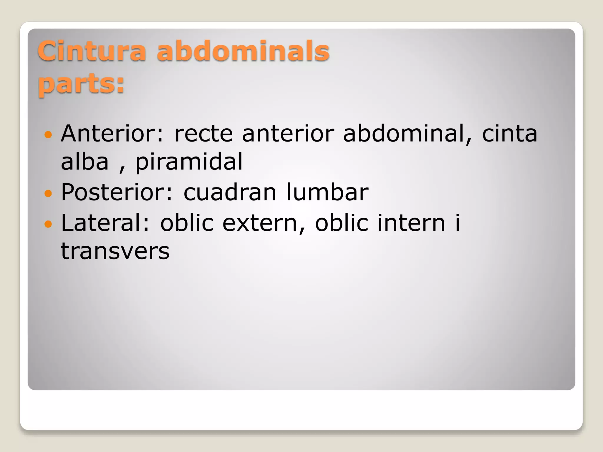 Cintura abdominal tren superior i extremitats | PPT