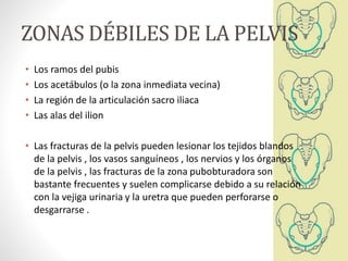 Cintura pelviana, (TIPOS DE PELVIS) | PPTX