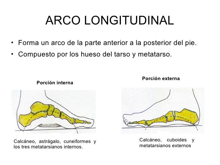 Cintura pelvica y EEII