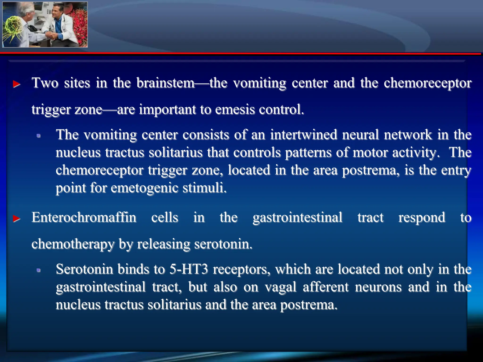 CINV correctly navigation and navigation.pptx
