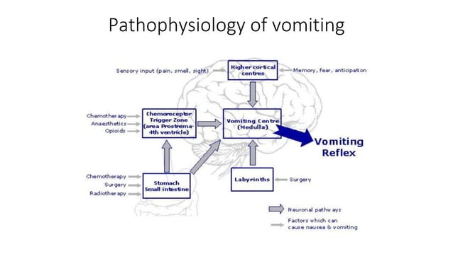 Cancer induced nausea and vomiting.pptx