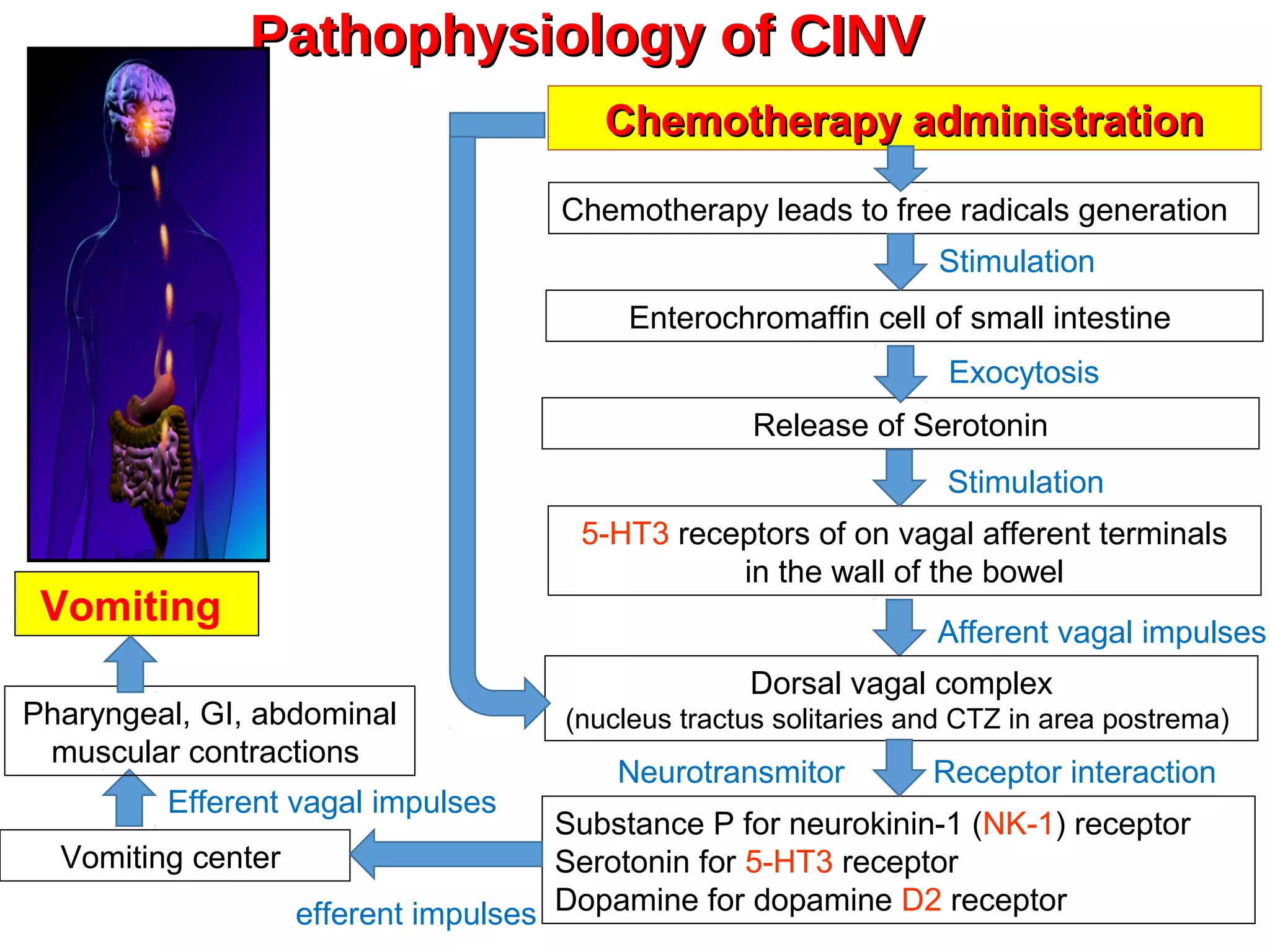 CINV dr salah mabrouk khallaf | PPT