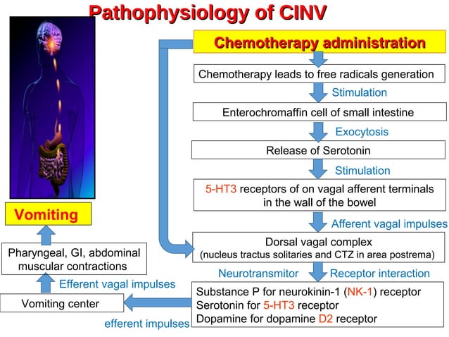 CINV dr salah mabrouk khallaf | PPT | Cancer | Diseases and Conditions
