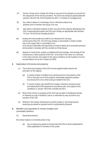 Cio foundationmodelconstitution edit two | PDF