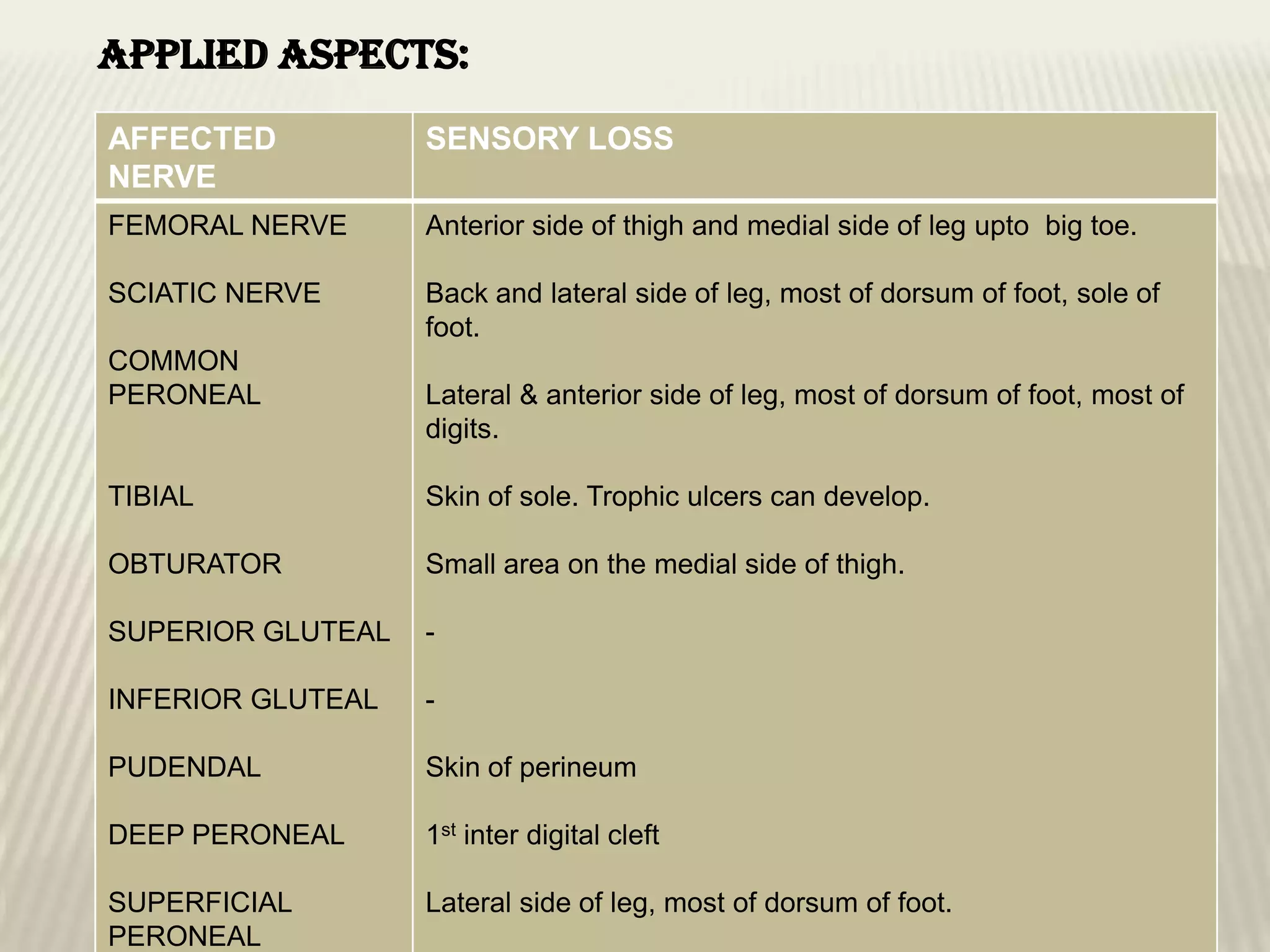 Cutaneous innervation of lower limb | PPTX