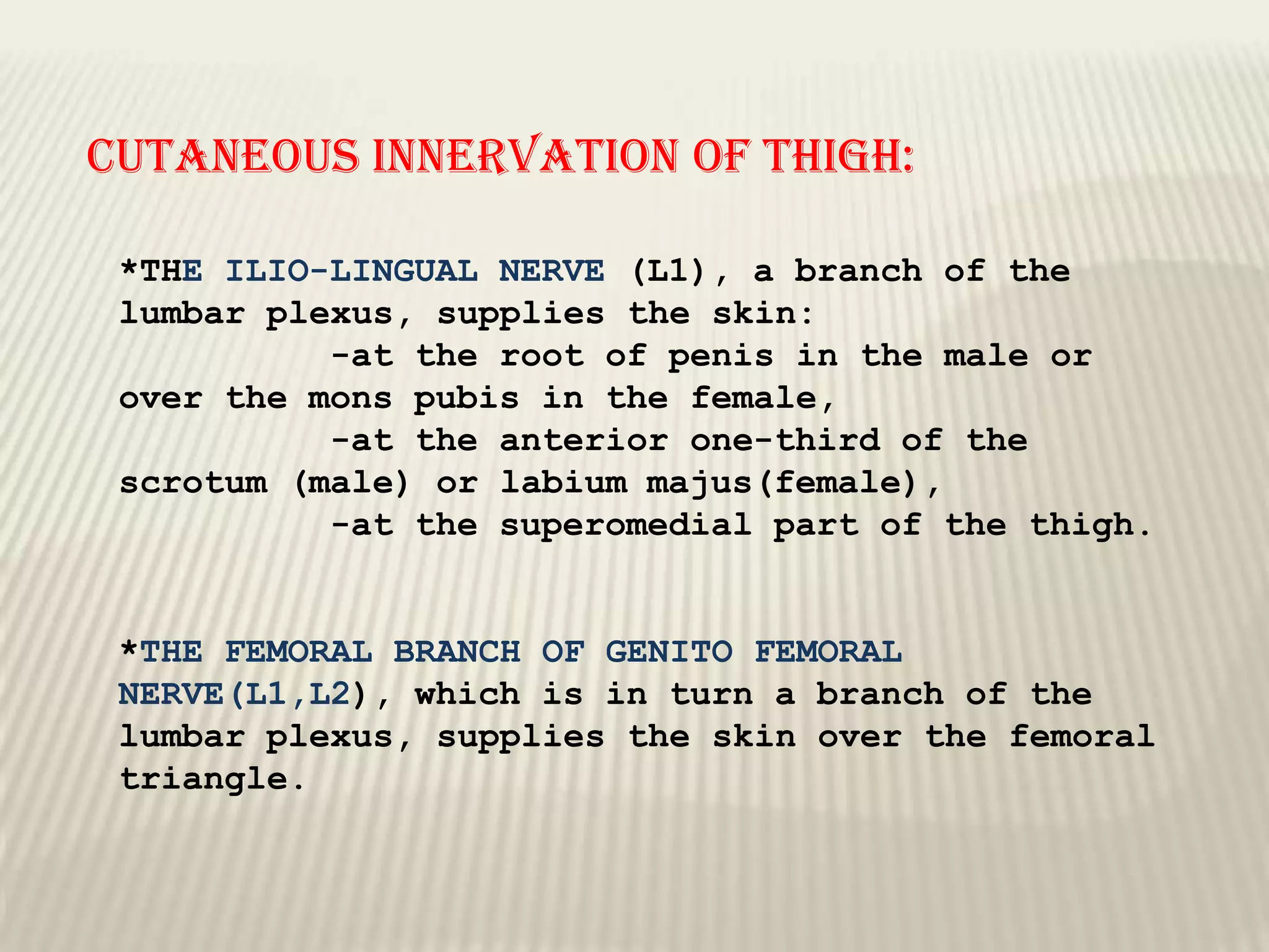 Cutaneous innervation of lower limb | PPTX