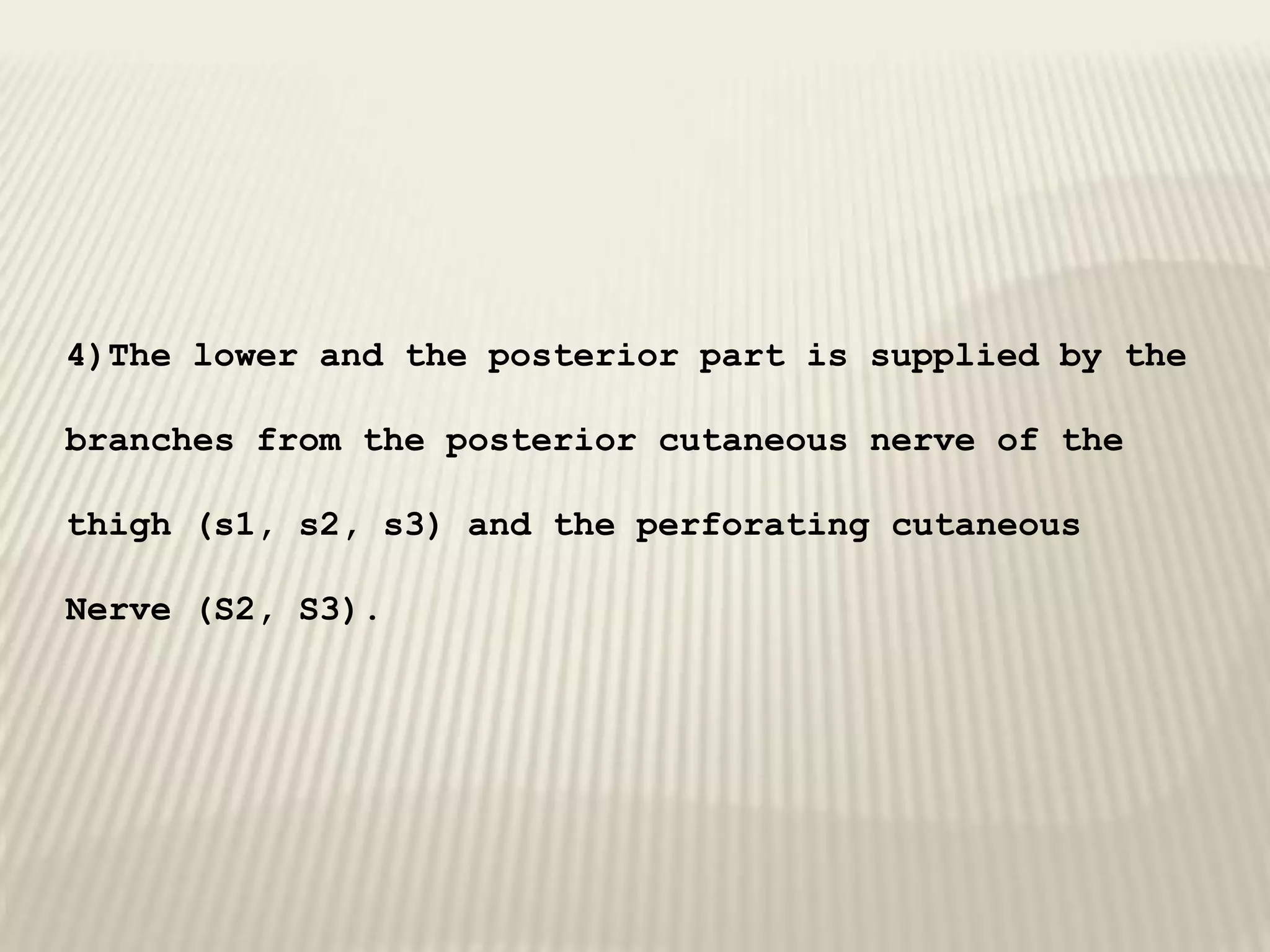Cutaneous innervation of lower limb | PPTX