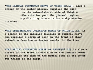 Cutaneous innervation of lower limb | PPTX