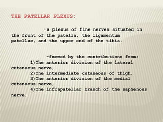 Cutaneous innervation of lower limb | PPTX
