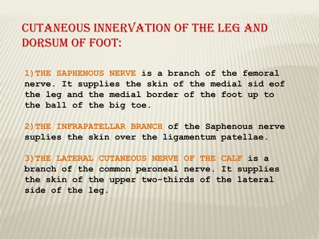 Cutaneous innervation of lower limb | PPTX