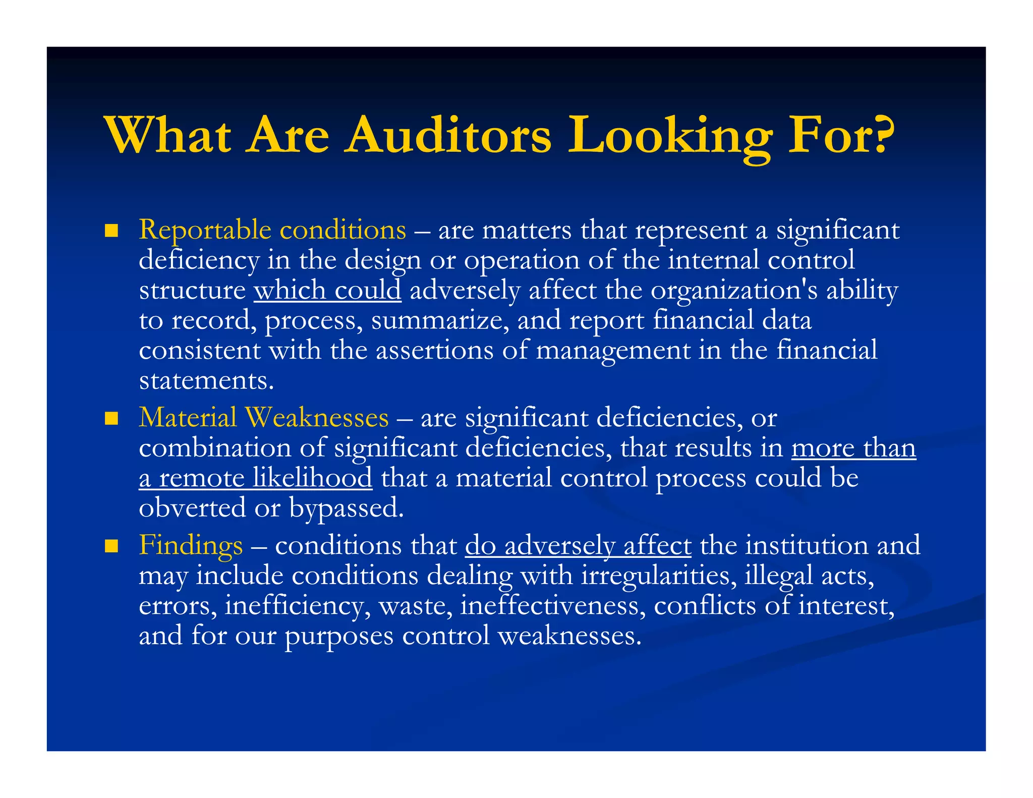 CIO IT Audit Survival TNS07 | PDF