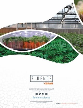 FLU-CultivationGuide_Cannabis_WEB_PROOF_01-2020.pdf