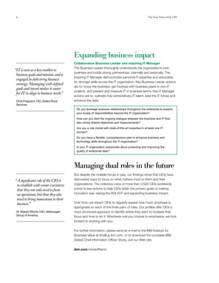 IBM CIO Summary 2009 | PDF