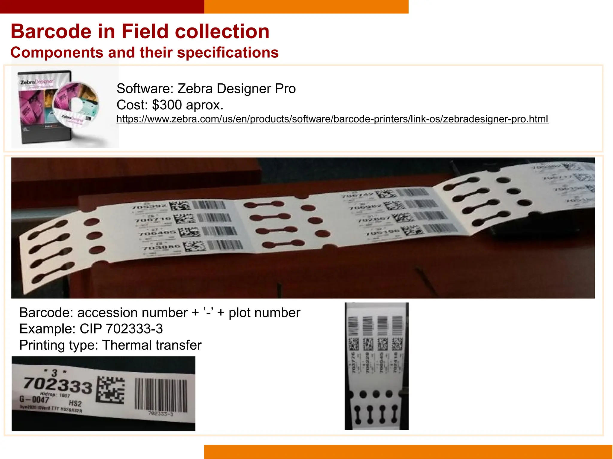 CIP-Etiquetado, código de barras y base de datos.pptx