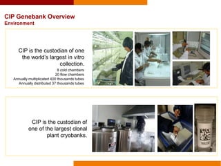 CIP Developing Mobile Apps | PPTX