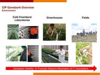 CIP Developing Mobile Apps | PPTX