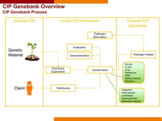 CIP Genebank IT Platform | PPTX