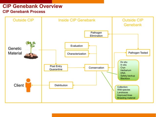 CIP Genebank IT Platform | PPTX