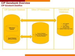 CIP Genebank IT Platform | PPTX