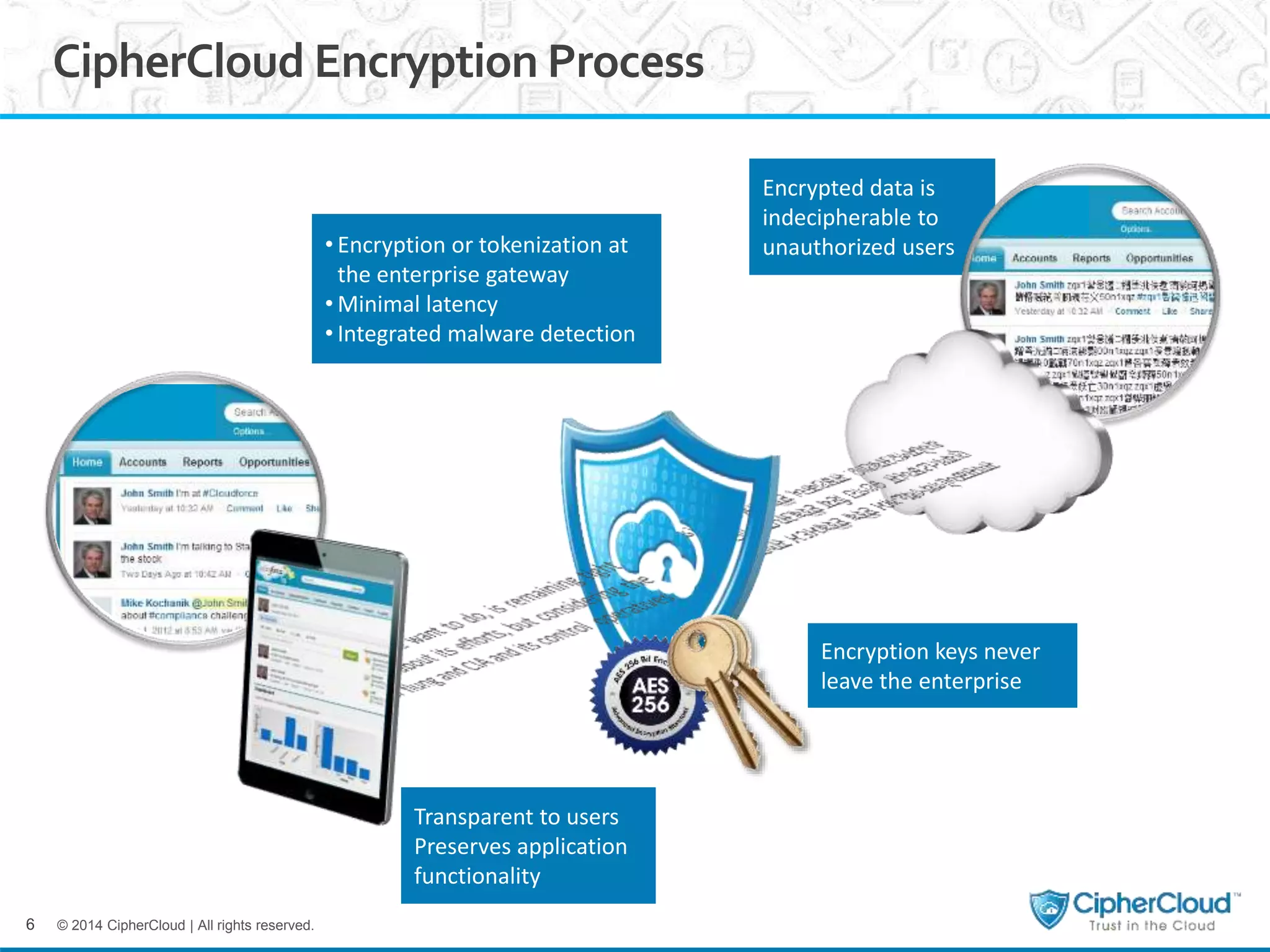 CipherCloud for Salesforce - Solution Overview | PPTX