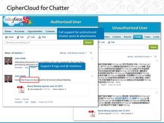 CipherCloud for Salesforce - Solution Overview | PPTX